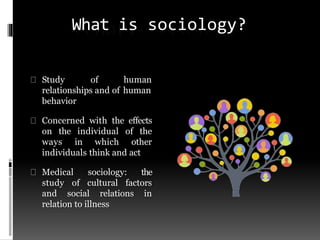 Introduction to sociology | PPTX