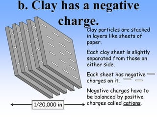 Introduction to Soil Chemis czx zc vz vtry.ppt