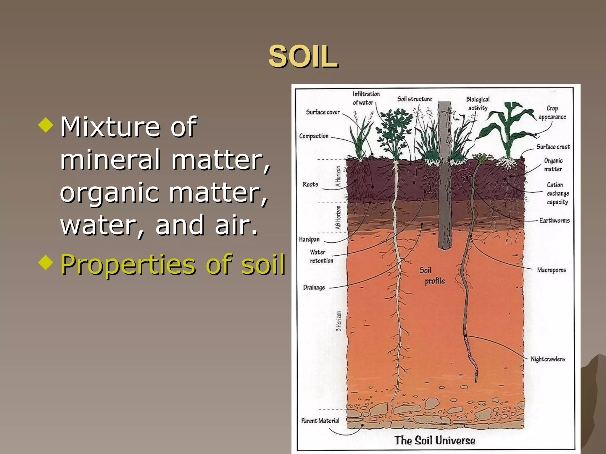 Introduction To Soil For Student Notes | PPT