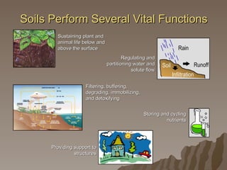 Introduction To Soil For Student Notes | PPT