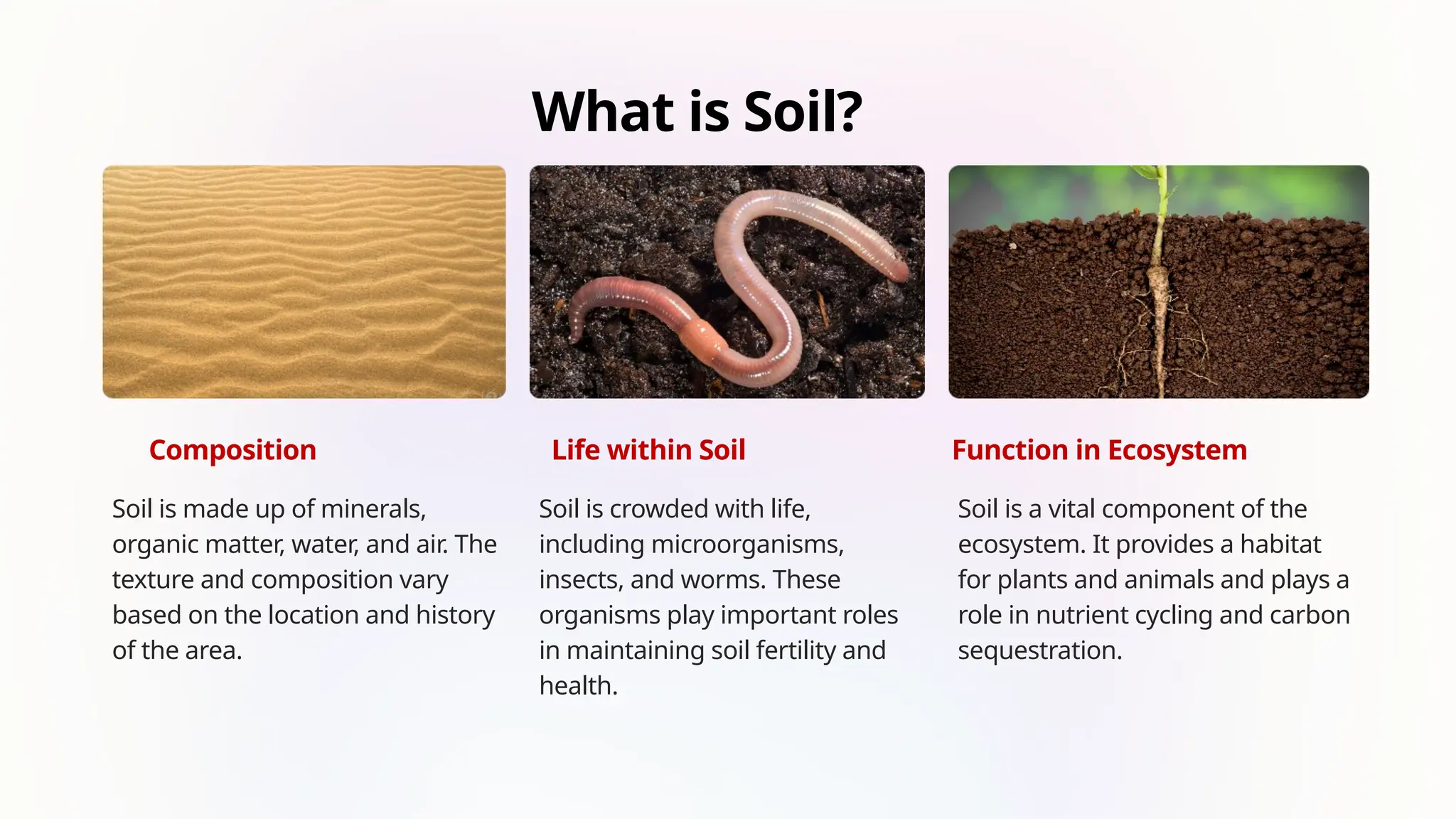 Introduction to soil and the soil science | PPT