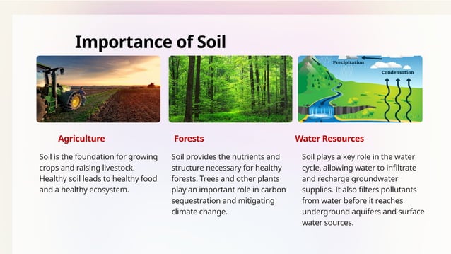 Introduction to soil and the soil science | PPT