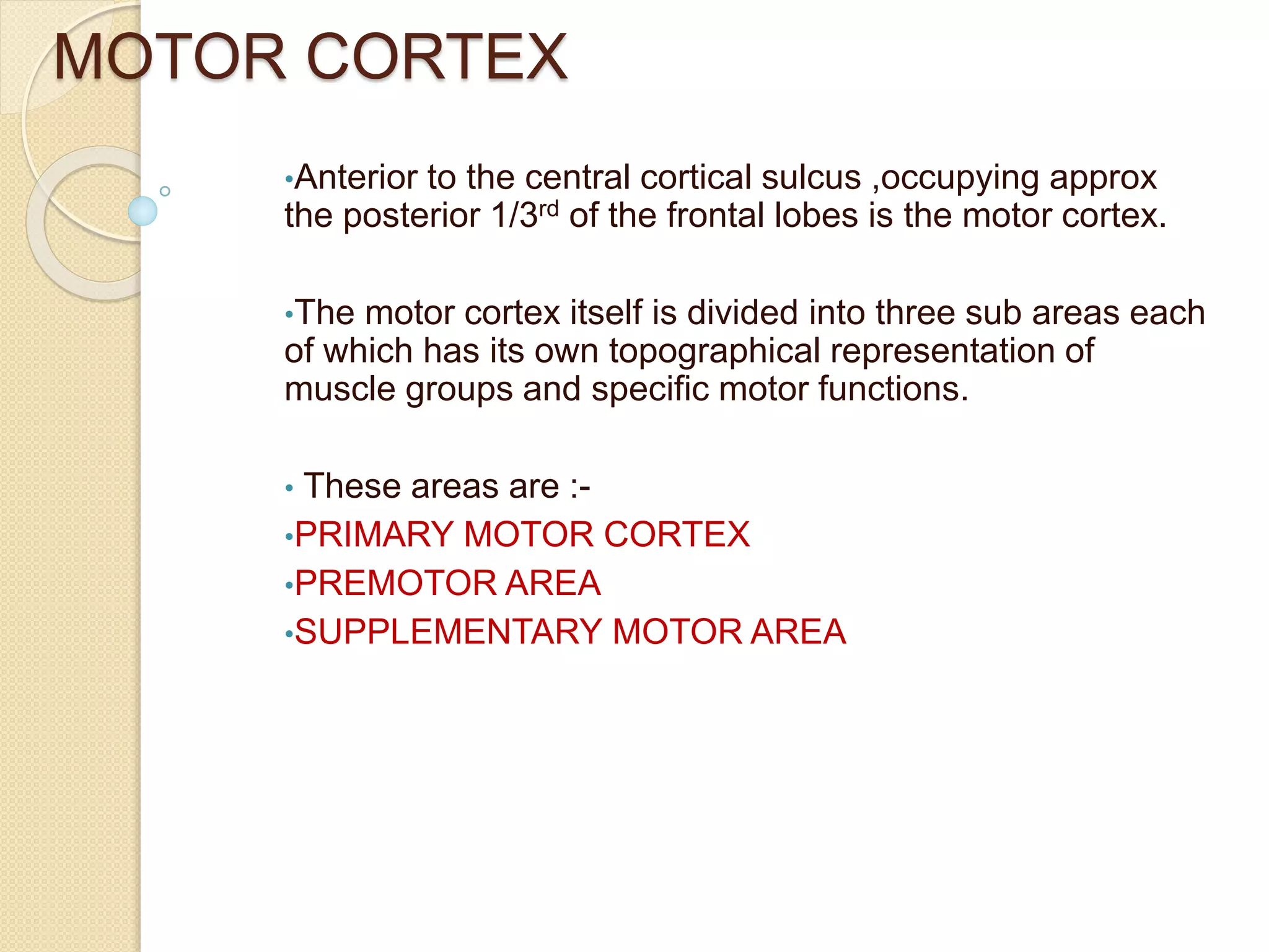 Introduction to somatic motor system and motor areas.pptx