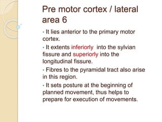 Introduction to somatic motor system and motor areas.pptx