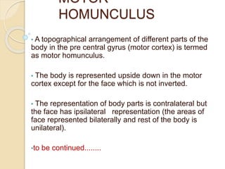 Introduction to somatic motor system and motor areas.pptx