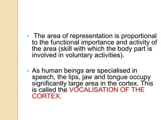 Introduction to somatic motor system and motor areas.pptx