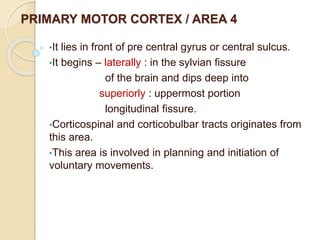Introduction to somatic motor system and motor areas.pptx