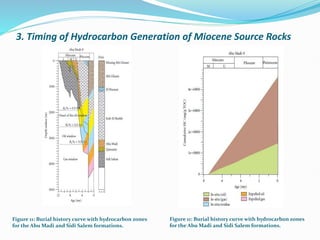 Introduction_to_Petroleum source_rock.pptx