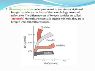 Introduction_to_Petroleum source_rock.pptx