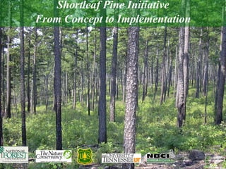 Introduction to the Shortleaf Pine Initiative | PPT