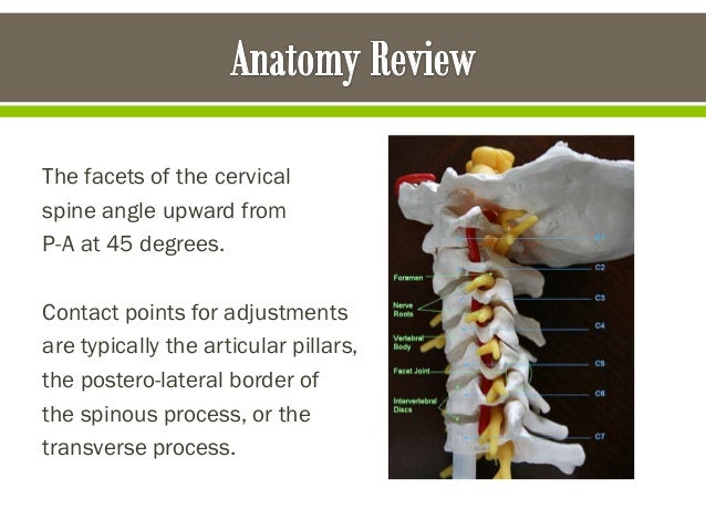 Introduction to high velocity spinal manipulation in the cervical reg…