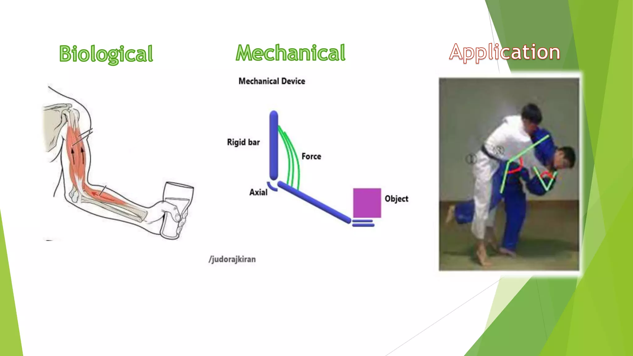Introduction to sports biomechanics | PPTX