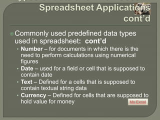 Introduction to Spreadsheet Applications | PPTX