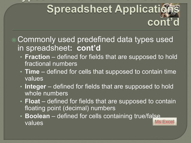 Introduction to Spreadsheet Applications | PPTX