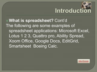 Introduction to Spreadsheet Applications | PPTX