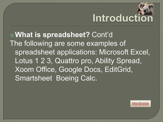Introduction to Spreadsheet Applications | PPTX