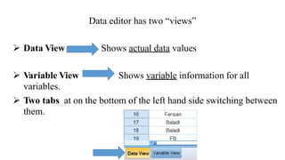 Introduction to spss | PDF