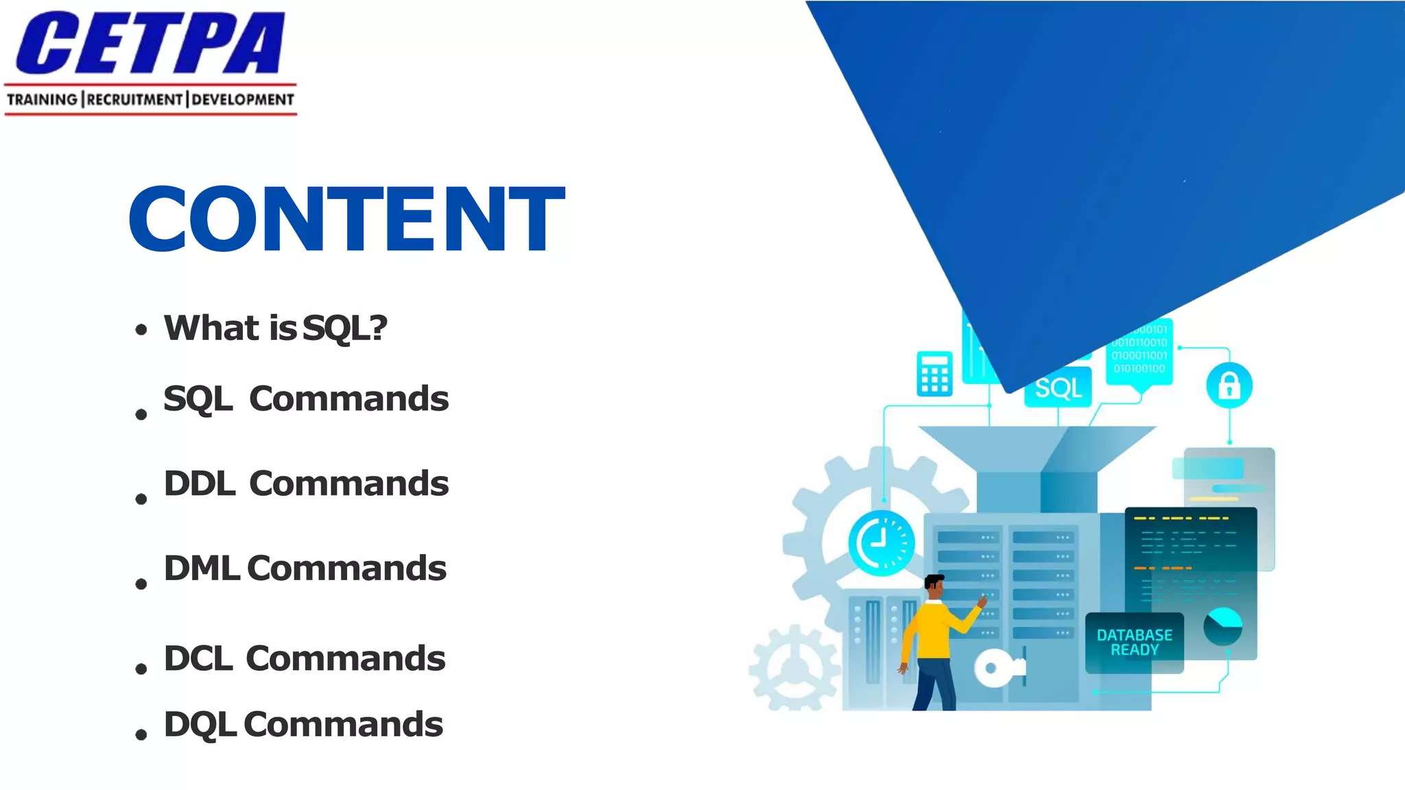 Introduction to SQL.pptx