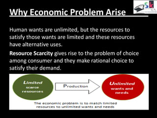 Introduction to statistics class 11 cbse by sanjay sir | PPTX