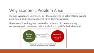 Introduction to statistics | PPTX