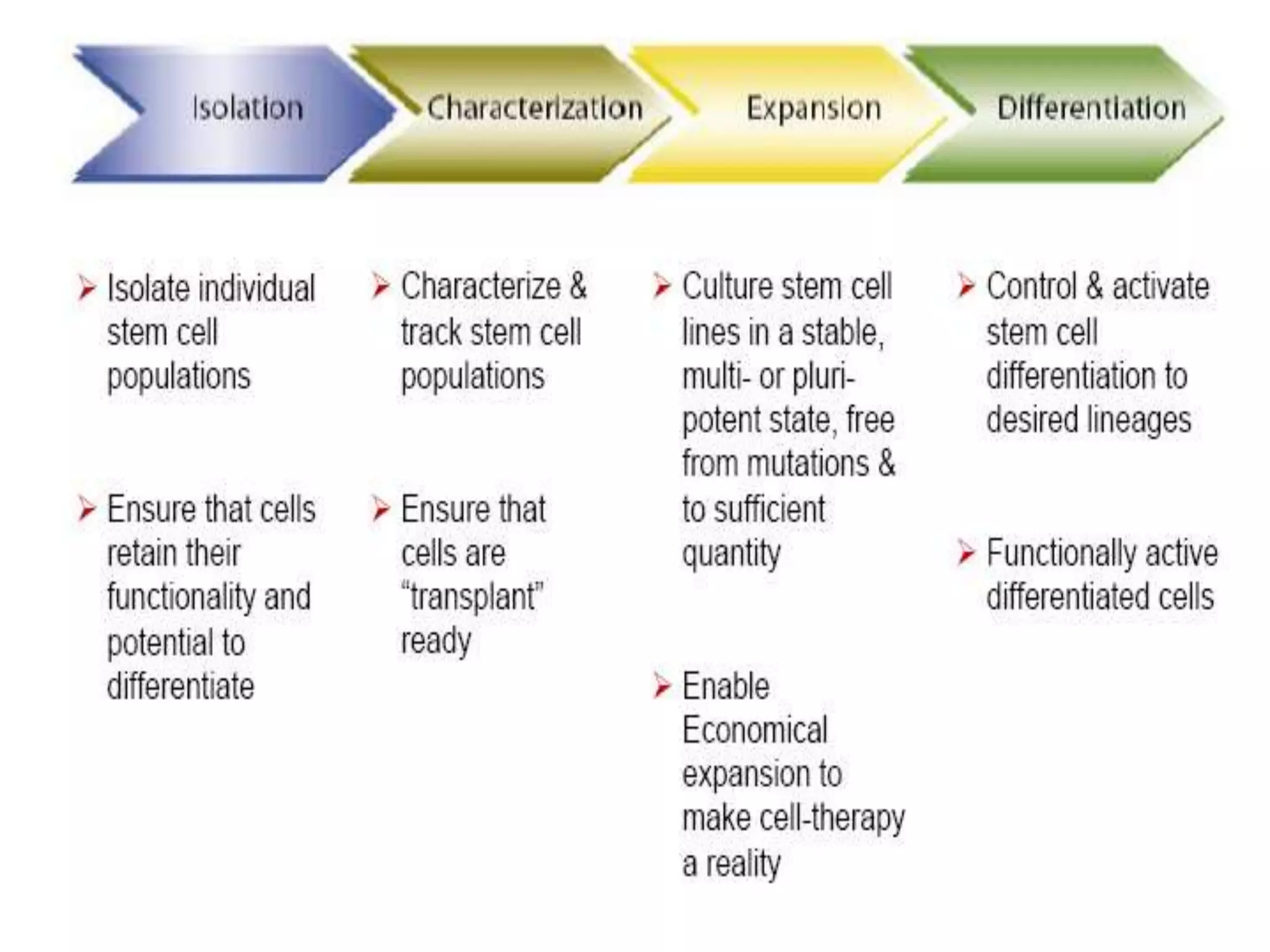 Introduction to stem cell | PPTX