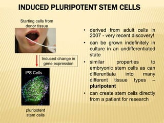 Introduction to stem cell | PPTX