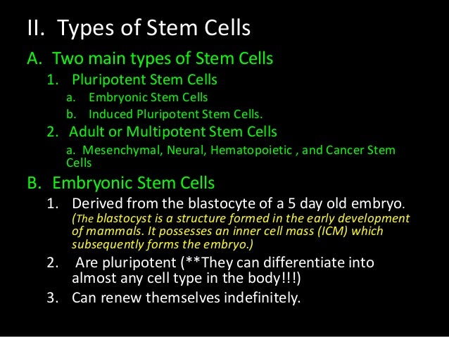 Introduction to stem cell notes