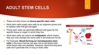 Introduction to stem cells | PPTX