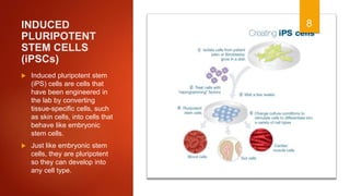 Introduction to stem cells | PPTX