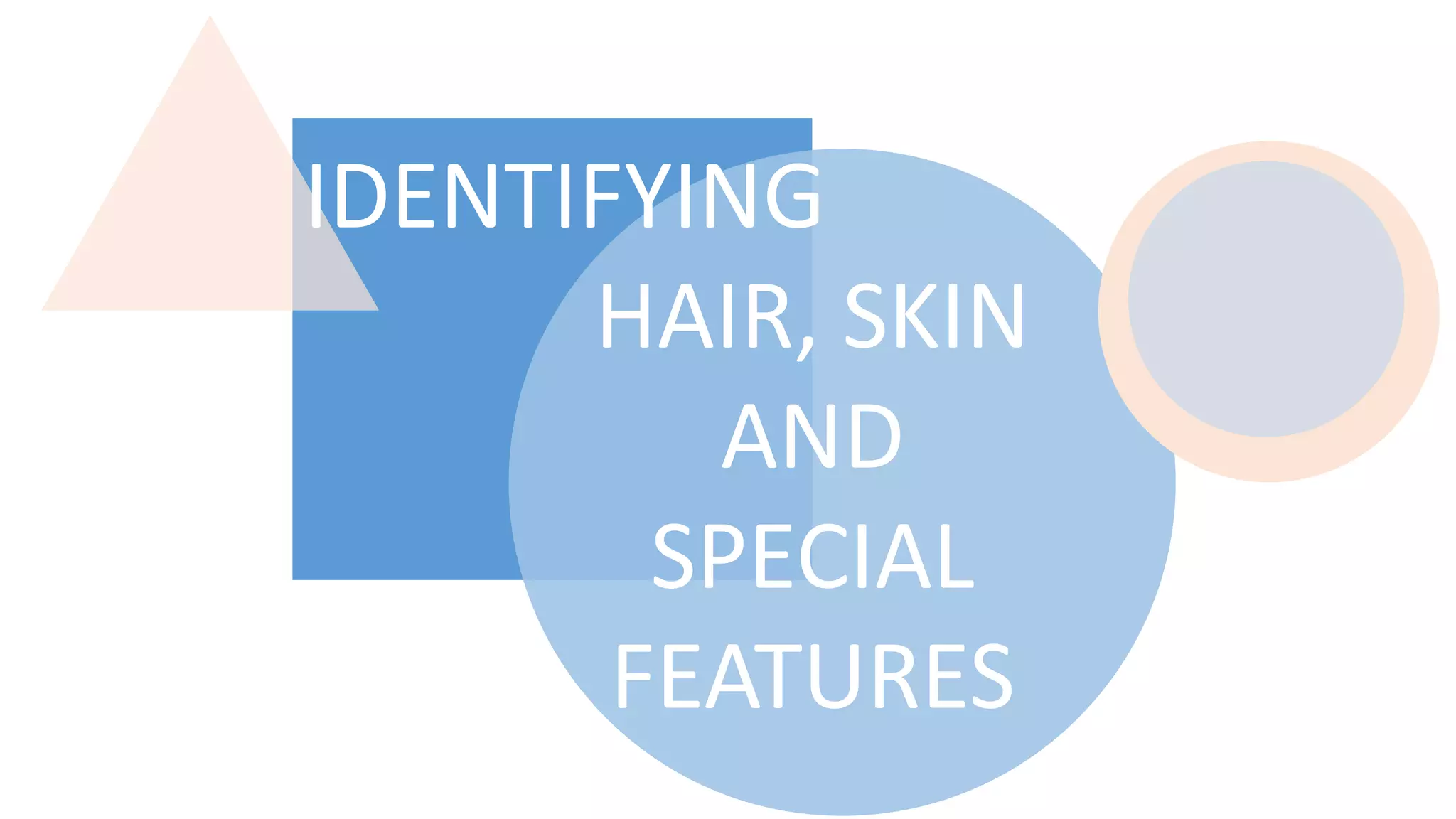 INTRODUCTION TO STYLING | PPT INTRODUCTION TO STYLING | PPT