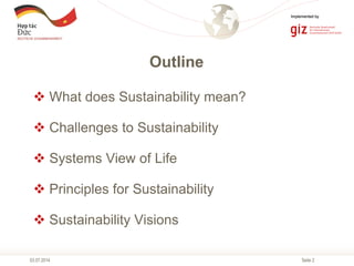 Introduction to sustainability | PDF