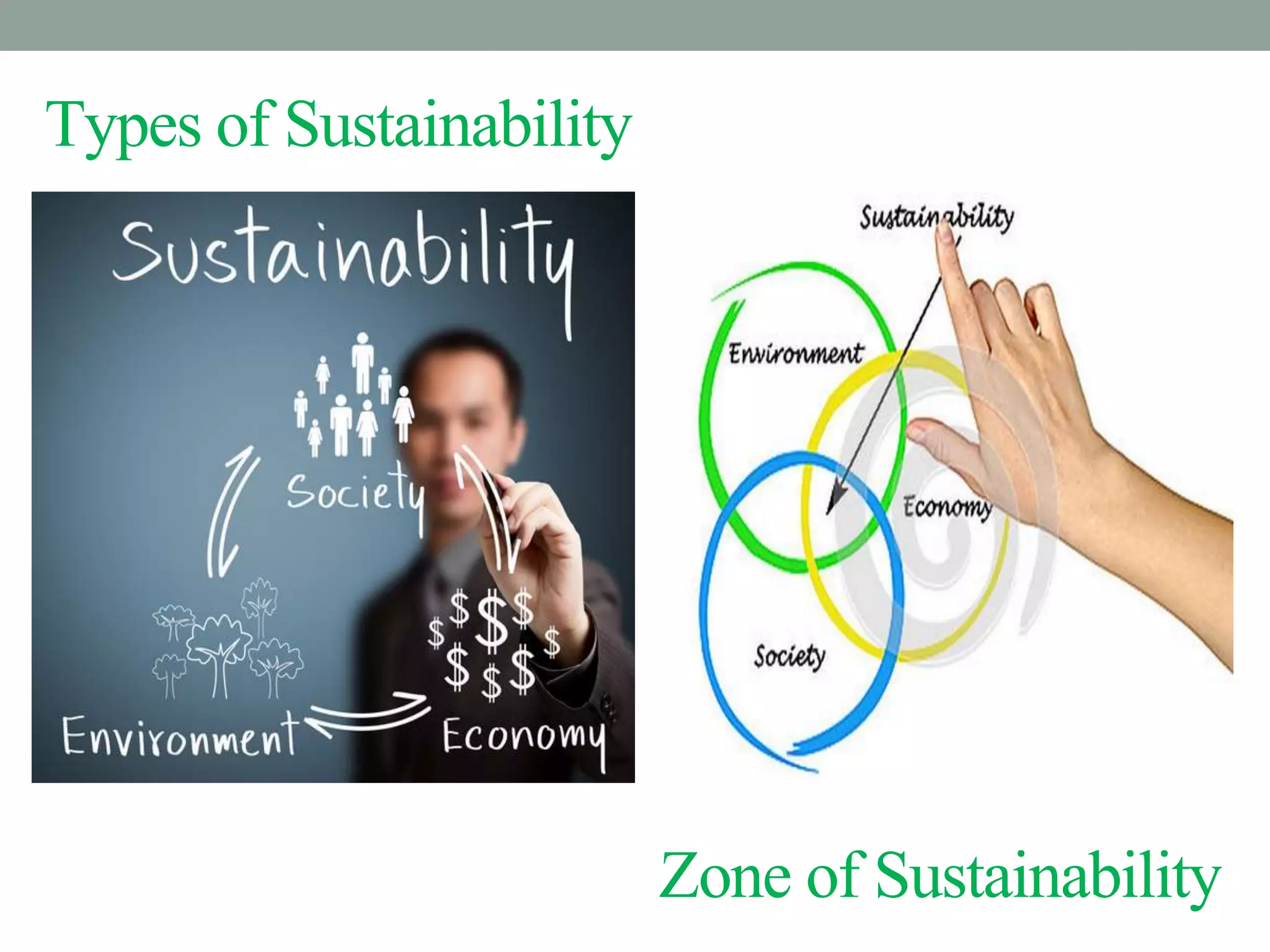 Introduction to sustainability | PPTX