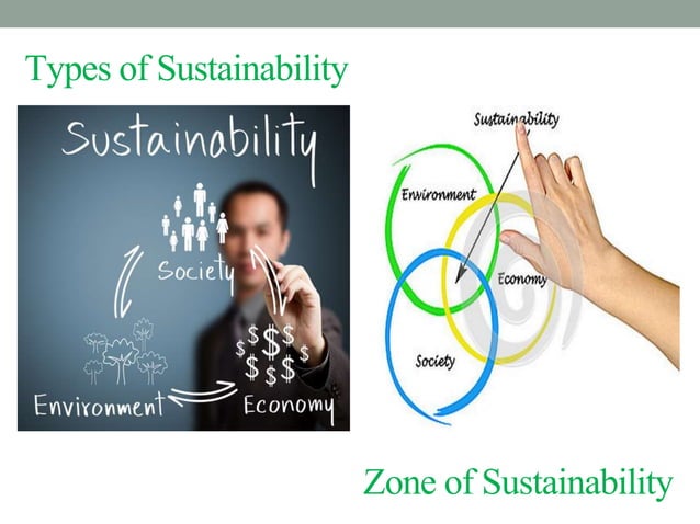 Introduction to sustainability | PPTX