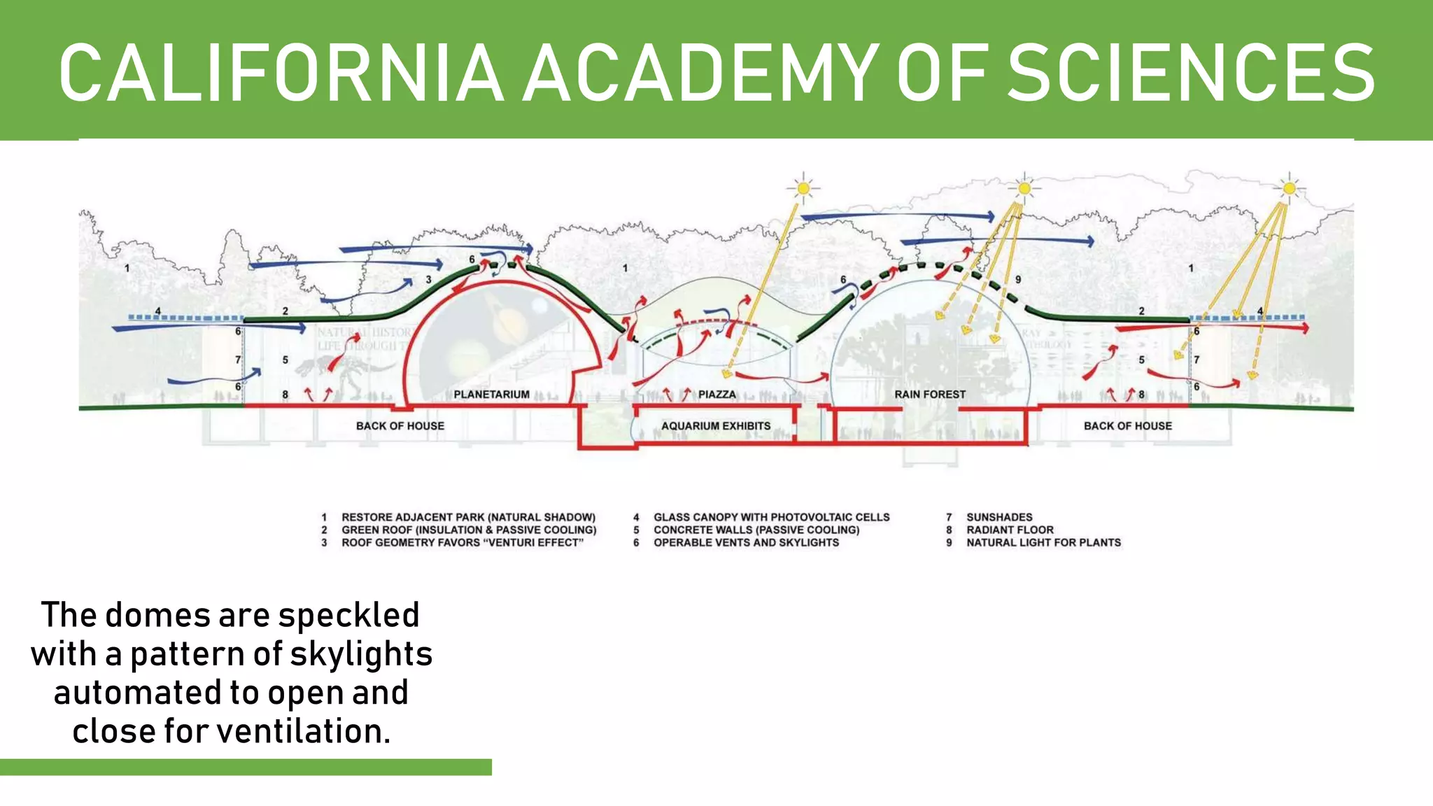 Sustainable Architecture - Case Study.pptx
