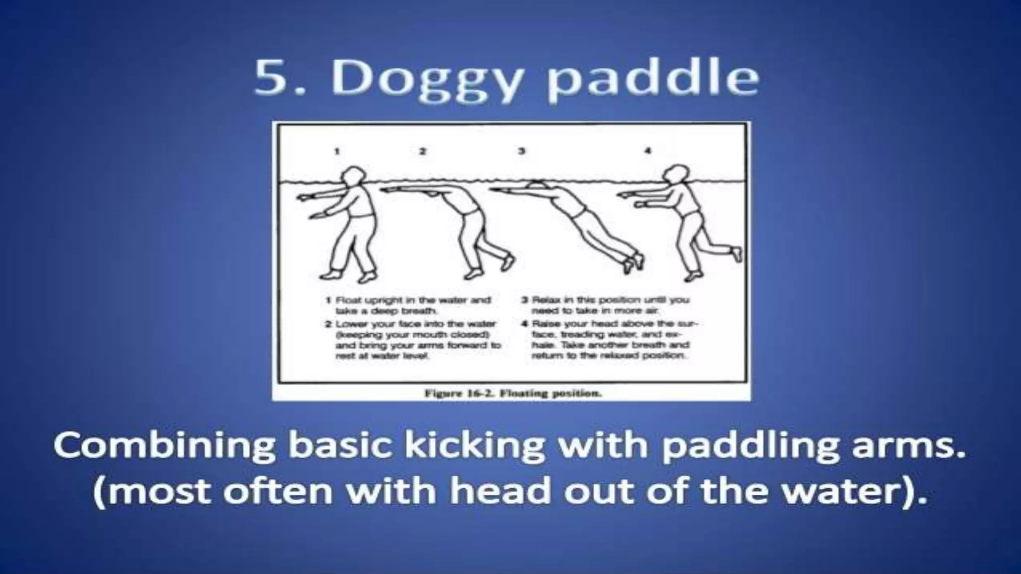 Introduction to swimming | PPTX