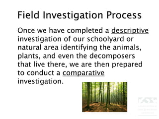 Introduction to Systems, Questions, and Field Investigations | PDF