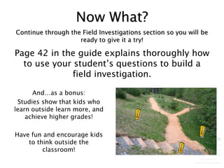 Introduction to Systems, Questions, and Field Investigations | PDF
