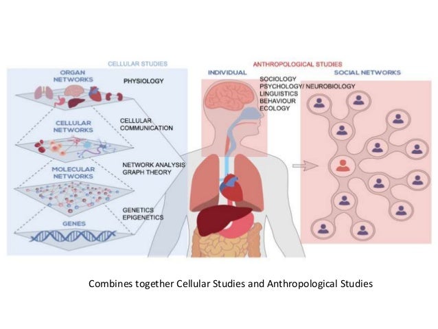 Introduction to Systemics with focus on Systems Biology