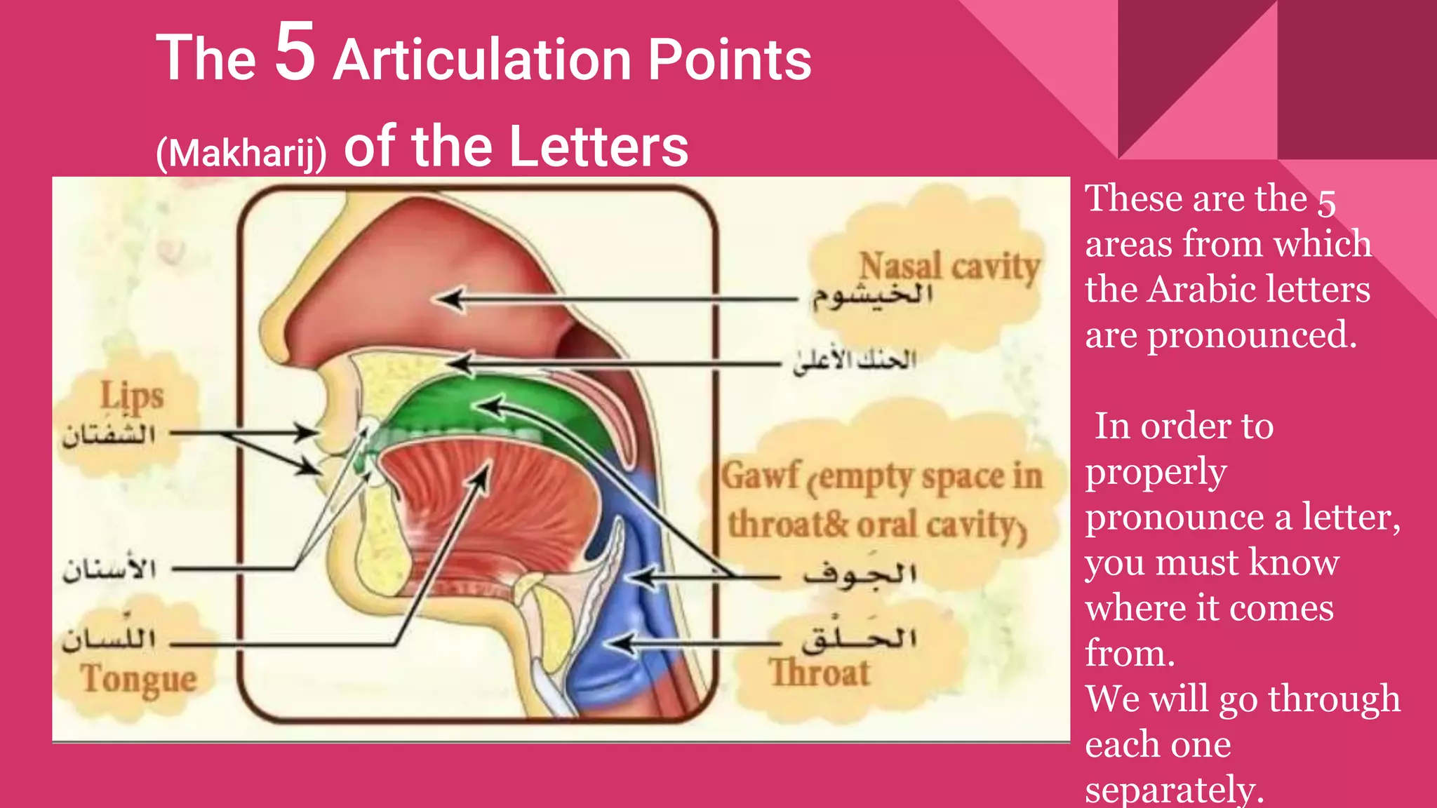 Introduction to Tajweed | PPTX