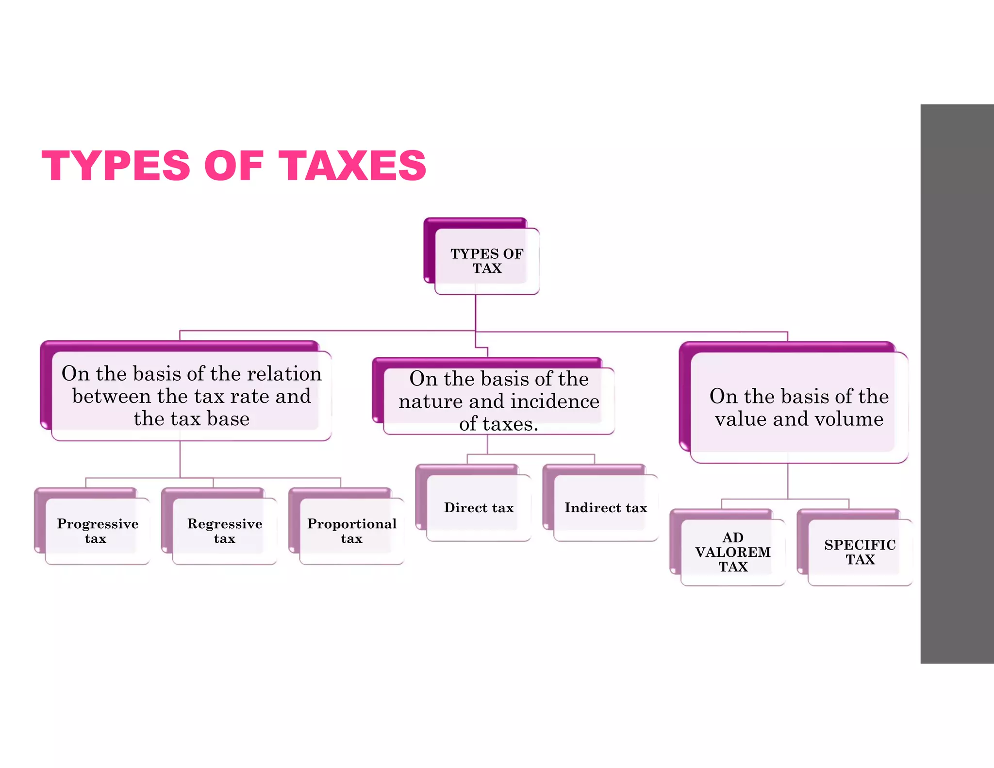 introduction to taxes.pdf