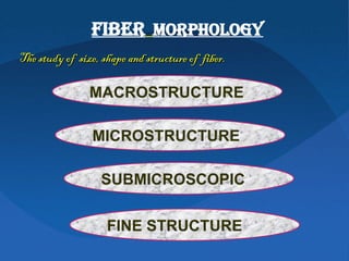 Introduction to textile fibers (natural and synthetic).ppt