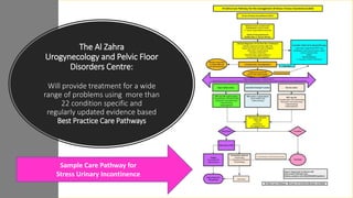 Uro-Gynecology from Cambridge to Dubai | PPT