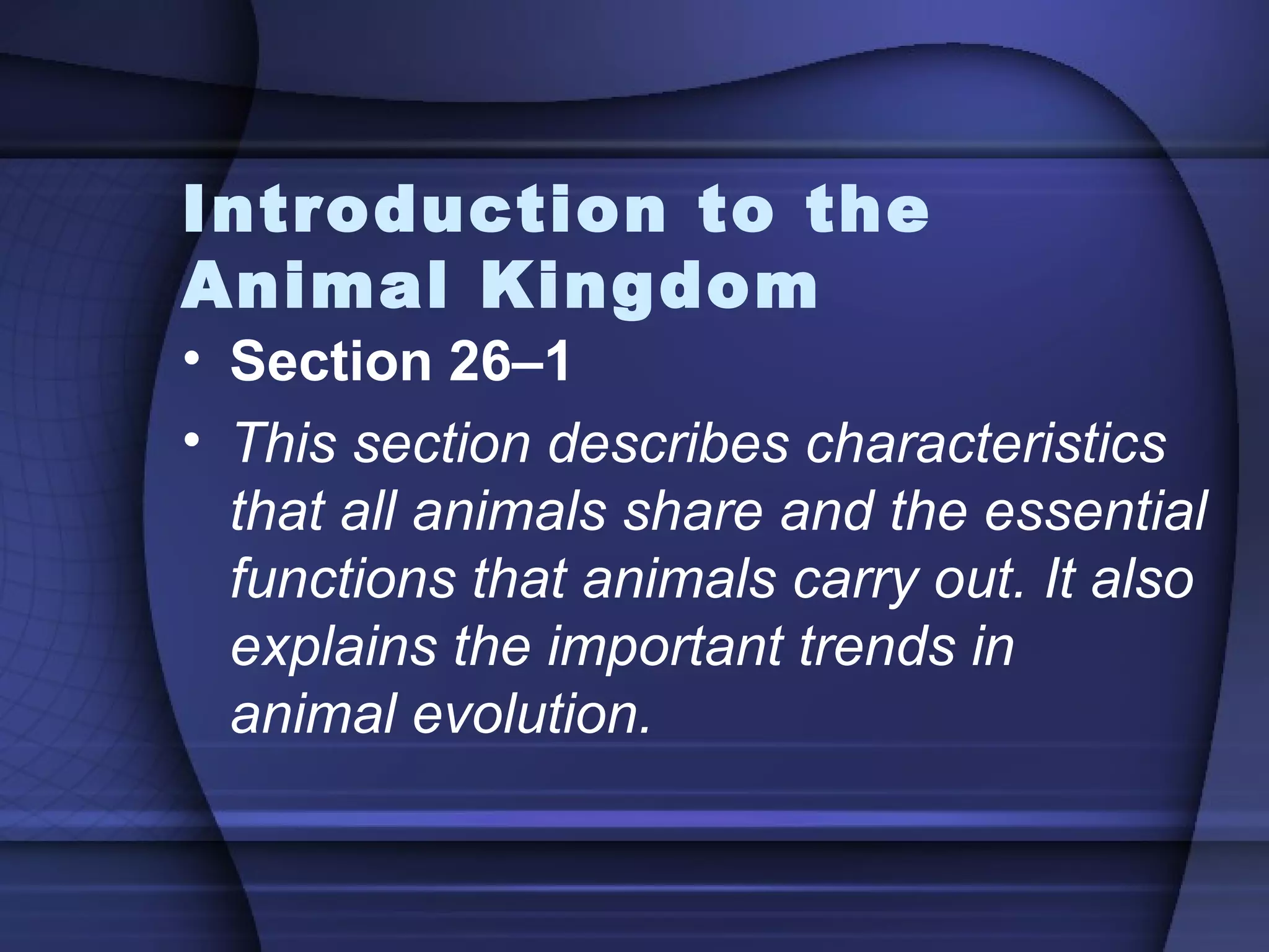Introduction to the animal kingdom | PPT