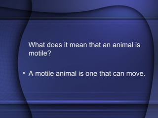 Introduction to the animal kingdom | PPT