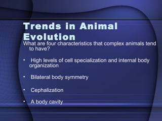 Introduction to the animal kingdom | PPT