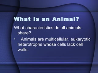 Introduction to the animal kingdom | PPT