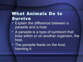 Introduction to the animal kingdom | PPT