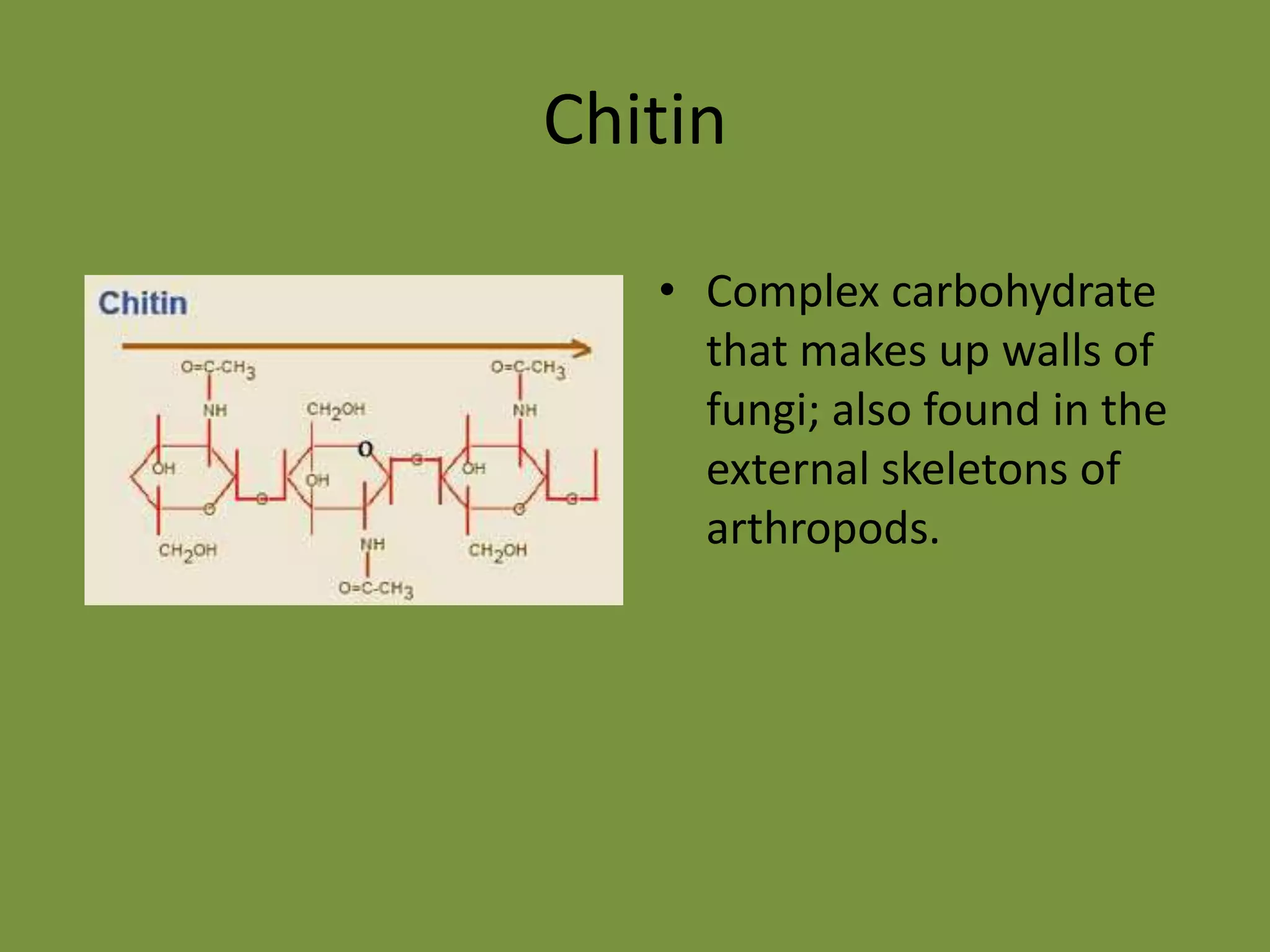 Introduction To The Arthropods | PPTX