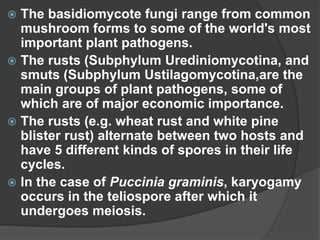 Introduction to the basidiomycota | PPTX