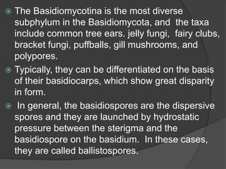 Introduction to the basidiomycota | PPTX